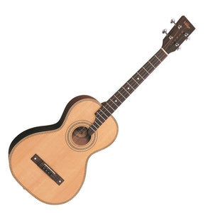 Paul Brett Signature Series – Vintage Guitars